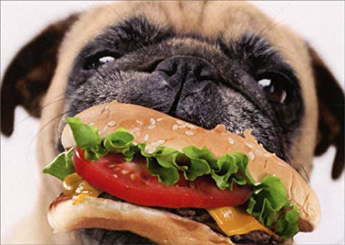 National Hamburger Day - Austin